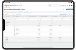 Eliminate Mistakes | UKG Payroll System | Rabco Payroll